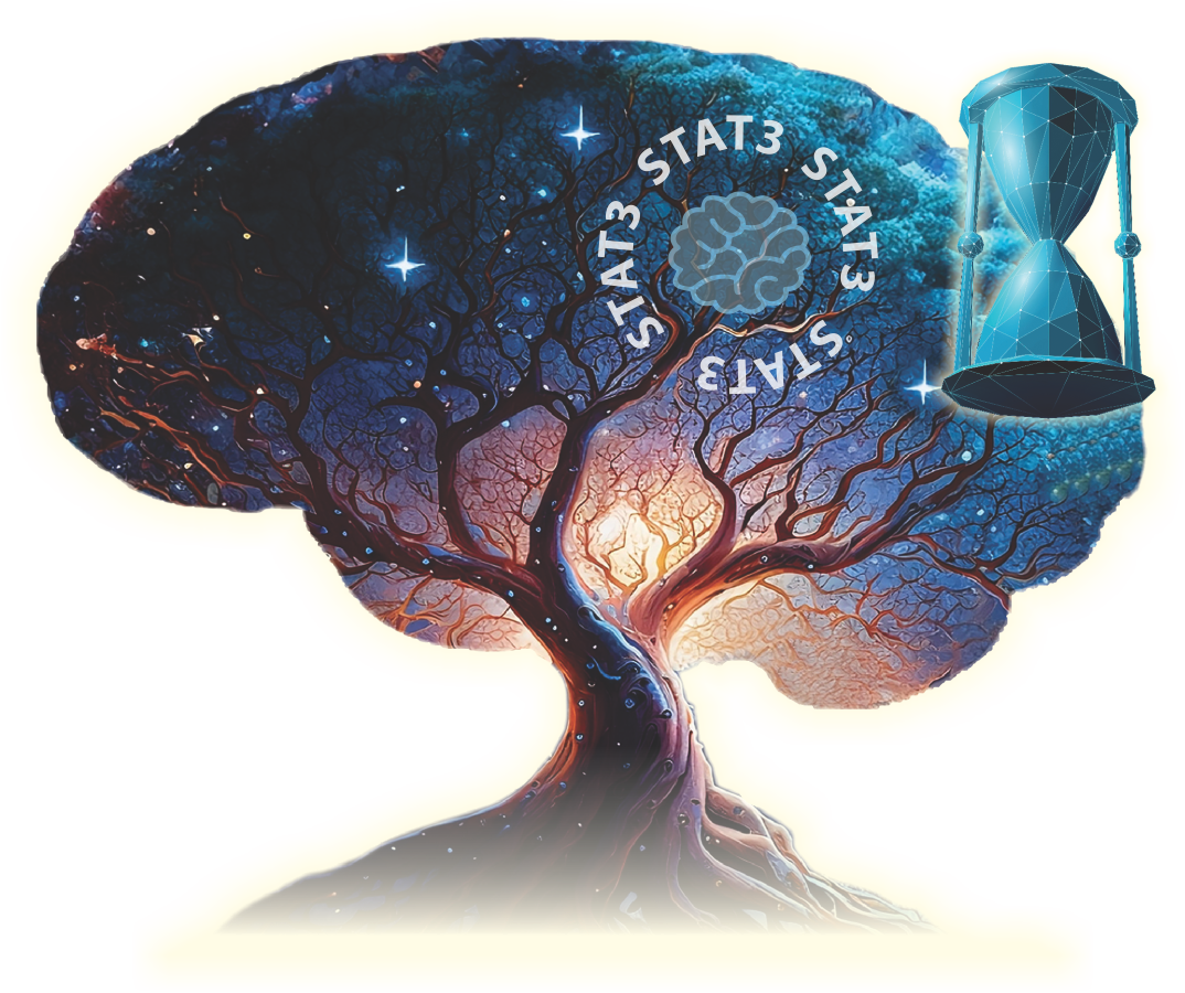 Sillbrain – Anisapharm Distribution